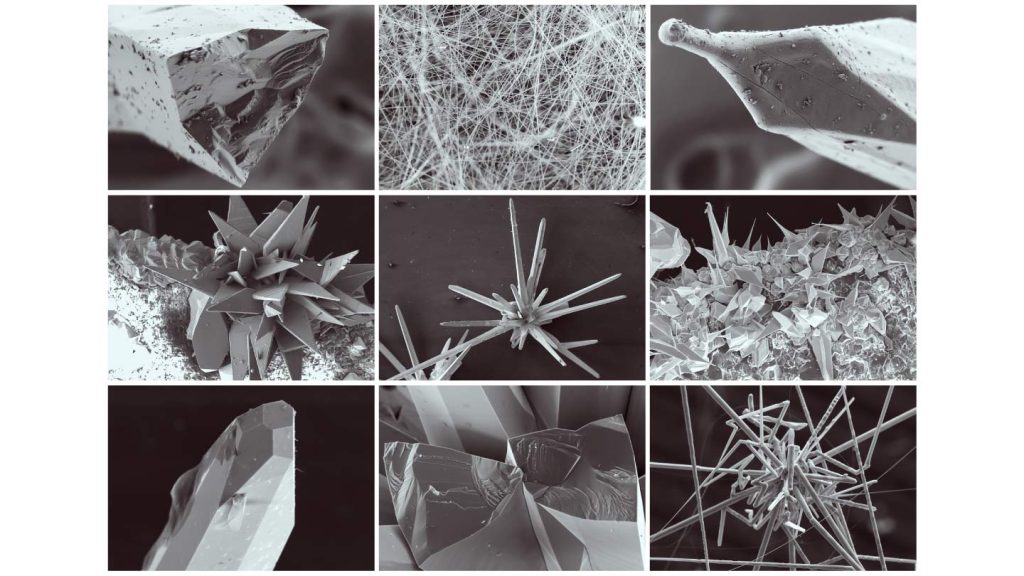 光学顕微鏡、SEM・・「とっても小さいもの」を見る色々な技術たち - Lab BRAINS