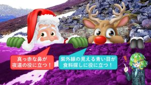 「トナカイ」は紫外線が見える！その理由は主食の「ハナゴケ」を見つけるため？ - Lab BRAINS