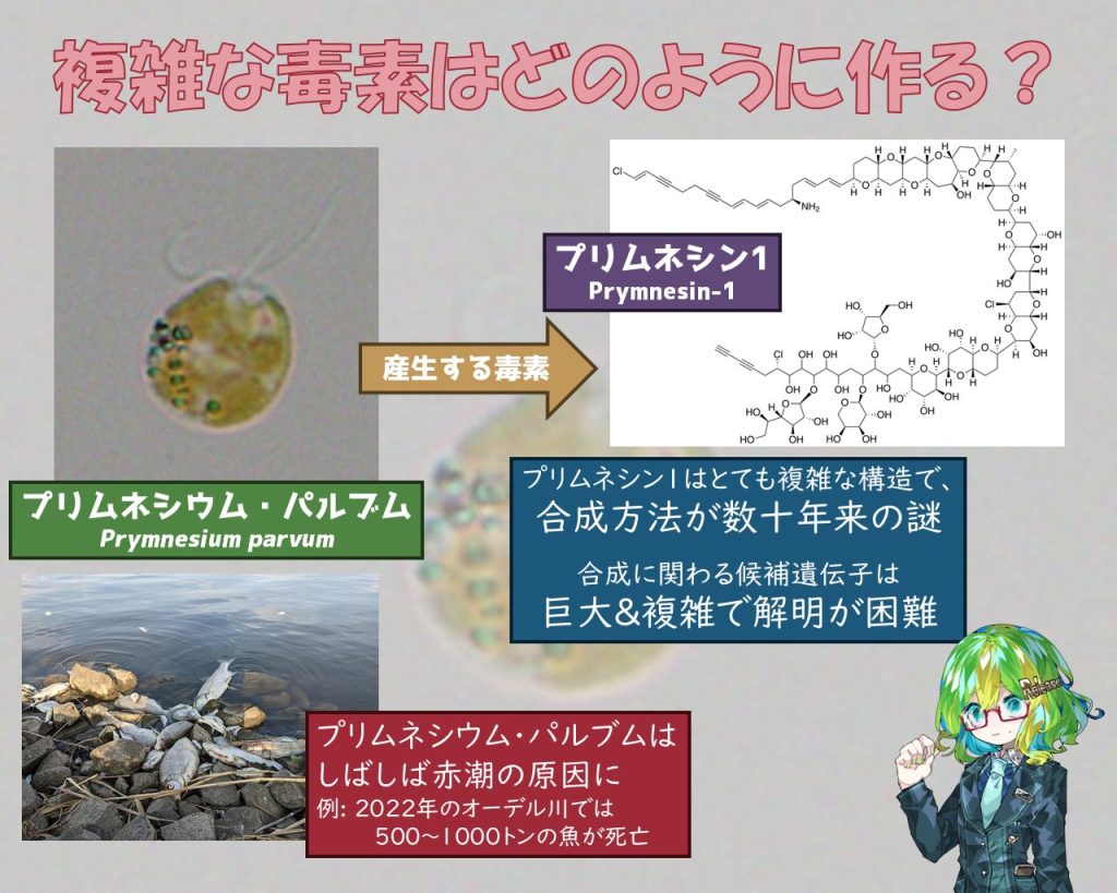 “巨人”を超えるタンパク質界の“ゴジラ”！ 記録上最大のタンパク質「PKZILLA」を発見 - Lab BRAINS