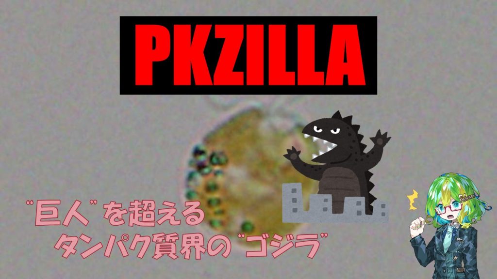 “巨人”を超えるタンパク質界の“ゴジラ”！ 記録上最大のタンパク質「PKZILLA」を発見 - Lab BRAINS