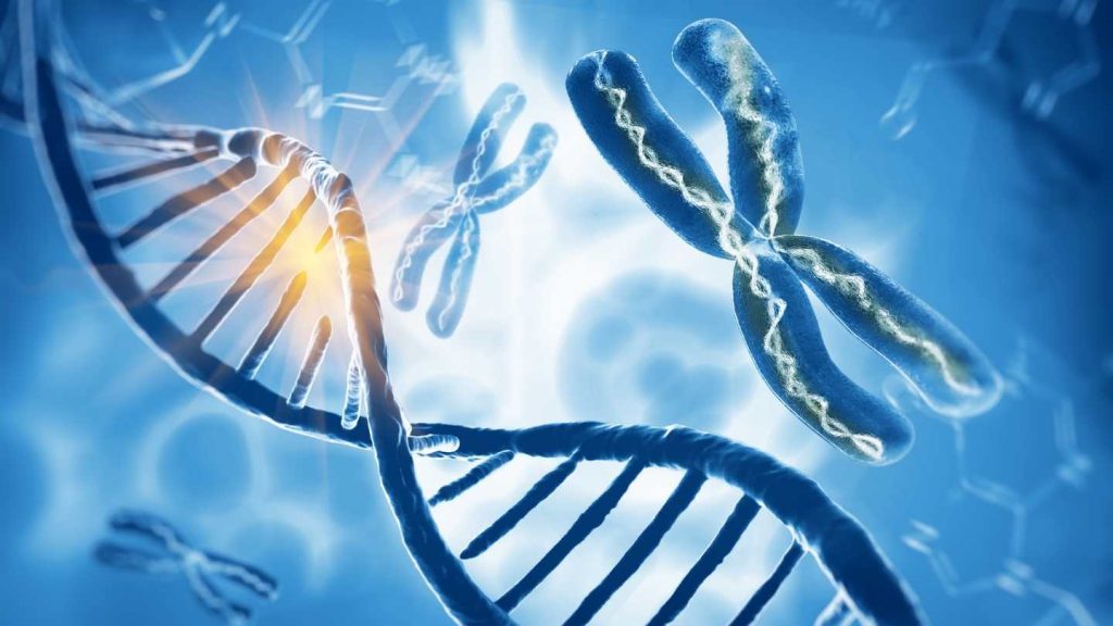 Tingible body macrophageとは何か？（3月2日 Cell オンライン掲載論文） - Lab BRAINS